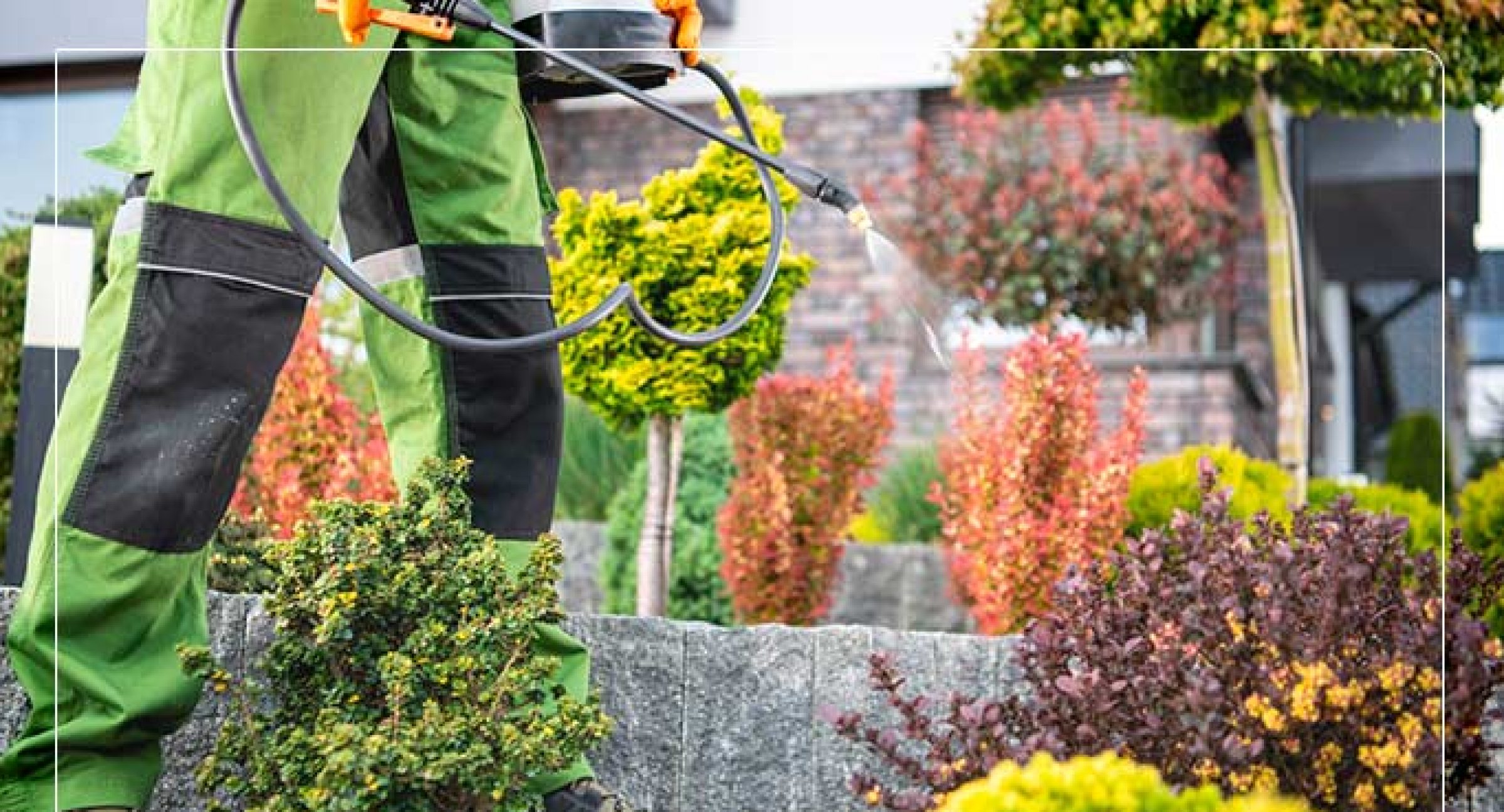 Frontline Property Services LLC | Pest Control | Landscaping